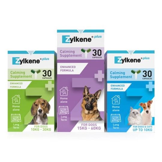 Zylkene Plus Calming Supplement - 30 Capsules