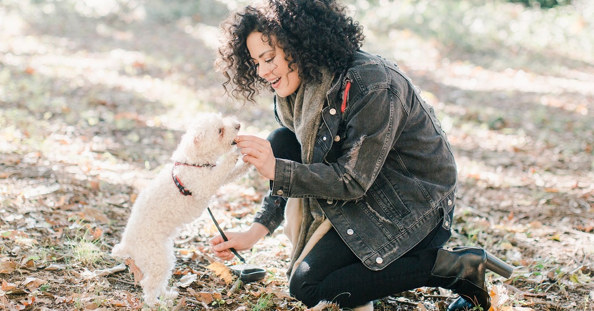 Best Dog Vitamins - Shop Online at Vet Pharmacy for Dog Supplements