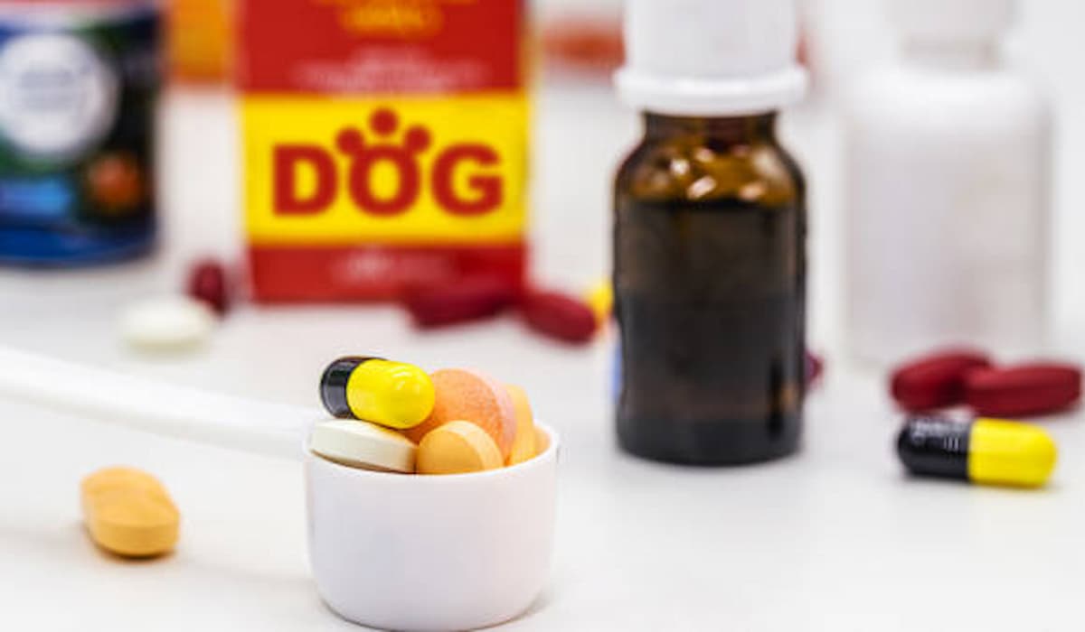 Dog Vitamins: Essential Vitamins & Minerals for Health | Vet Pharmacy